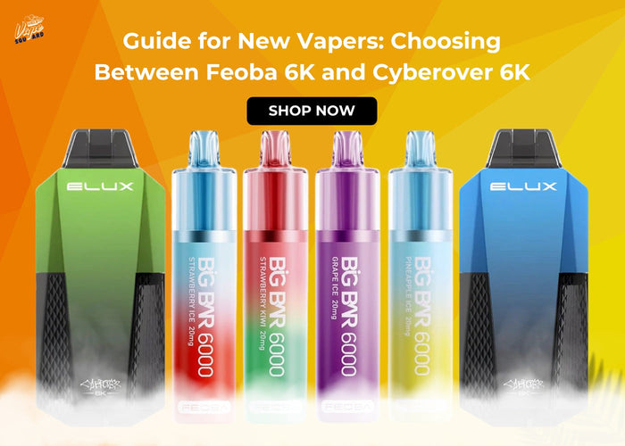 Guide for New Vapers: Choosing Between Feoba 6K and Cyberover 6K