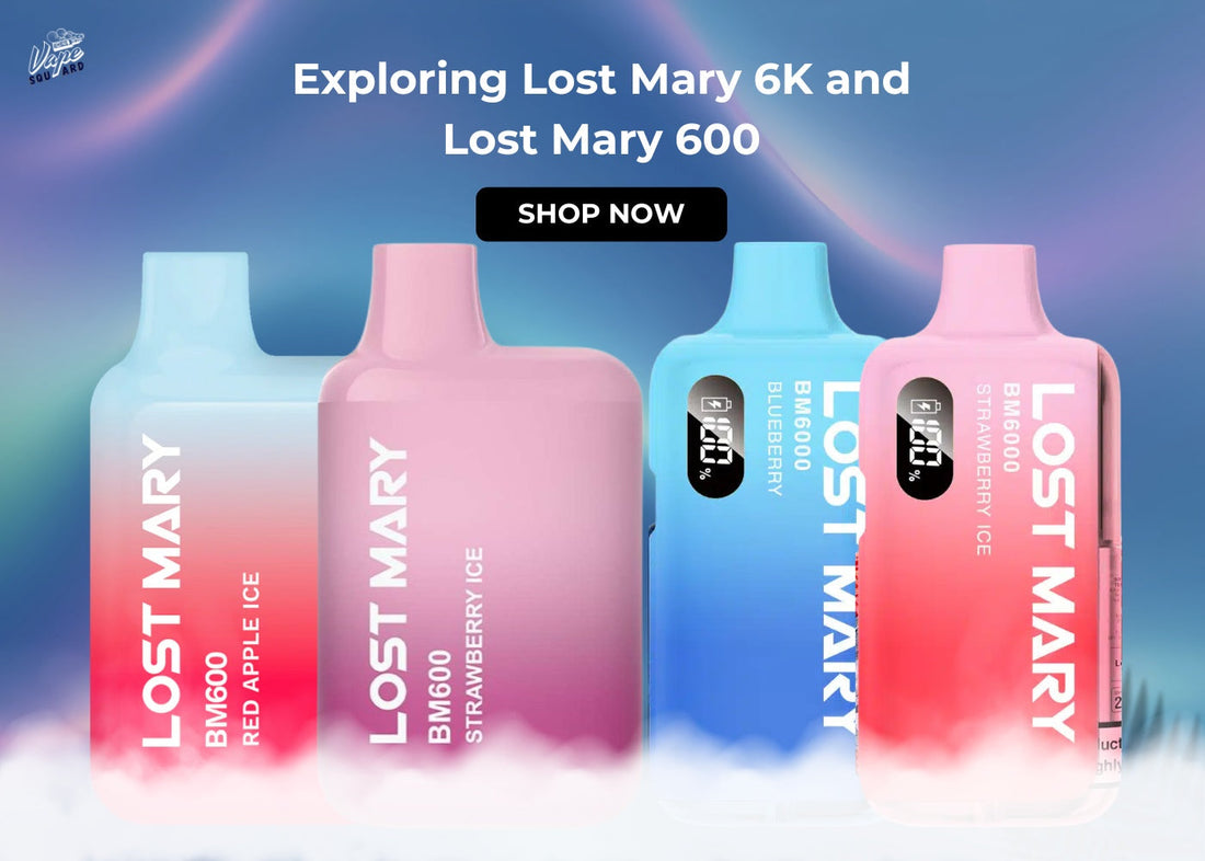 From Compact to High Capacity: Exploring Lost Mary 6K and Lost Mary 60